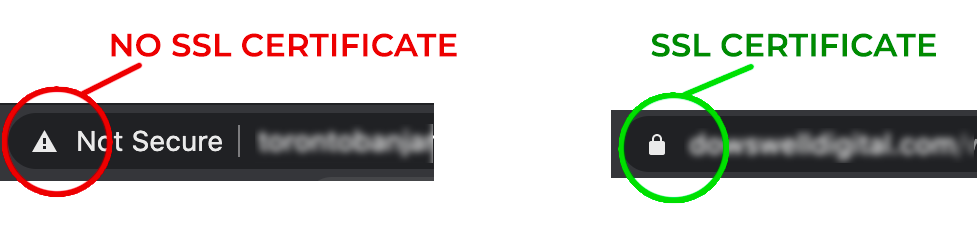 Easy Fixes for SSL Certificate Alerts | Dowswell Digital